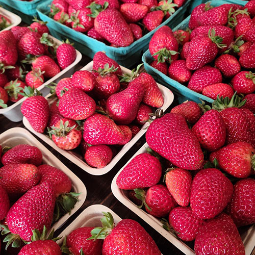 Neufeld Farm Market - Abbotsford, BC | Fraser Valley Local