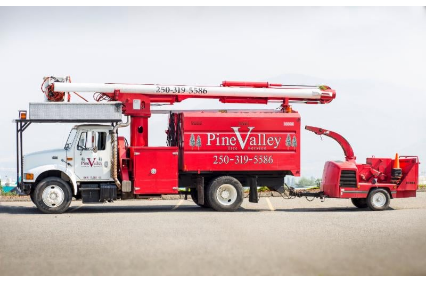 Pine Valley Tree Service Landscaping - Abbotsford, BC | Fraser Valley Local