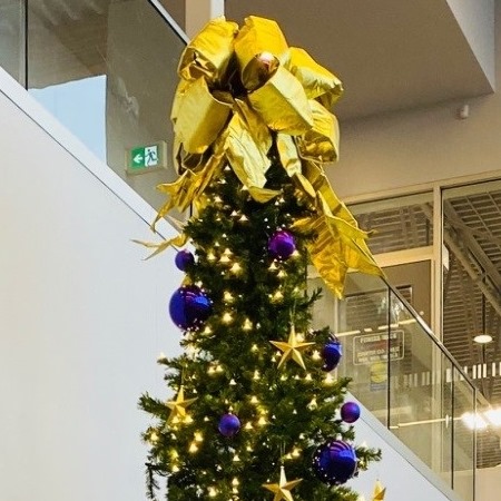 Timms Community Centre - Langley, BC | Fraser Valley Local